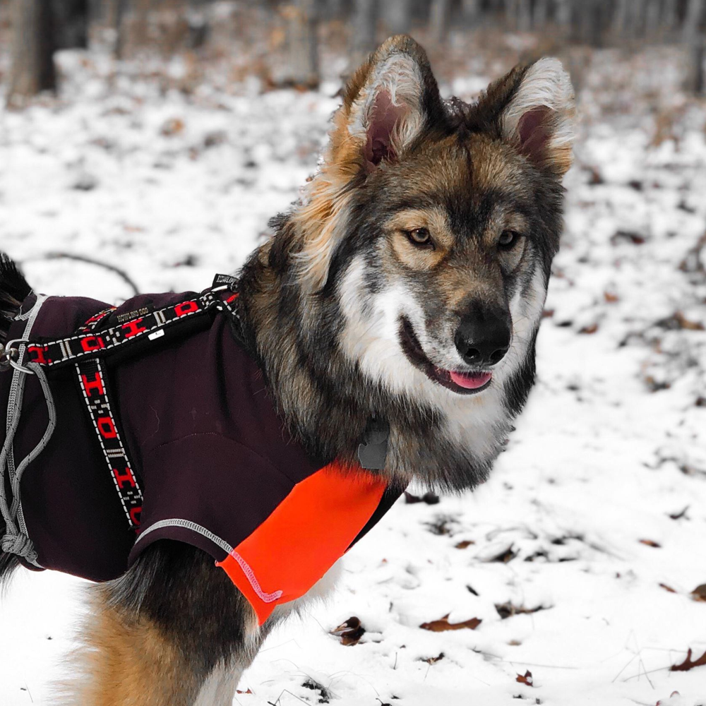 Chest Protector – Howling Dog Alaska