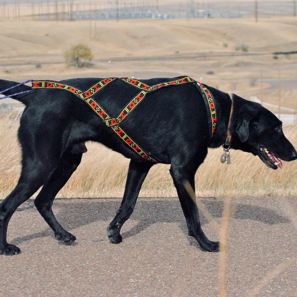 Standard Harness – Howling Dog Alaska